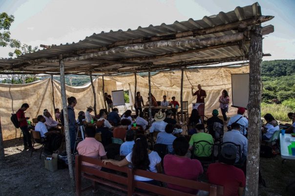 The temporary suspension against the Maya Train | Chiapas Support Committee